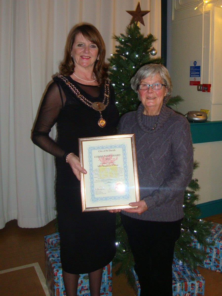 Community Award winner 2017 - St Davids City Council